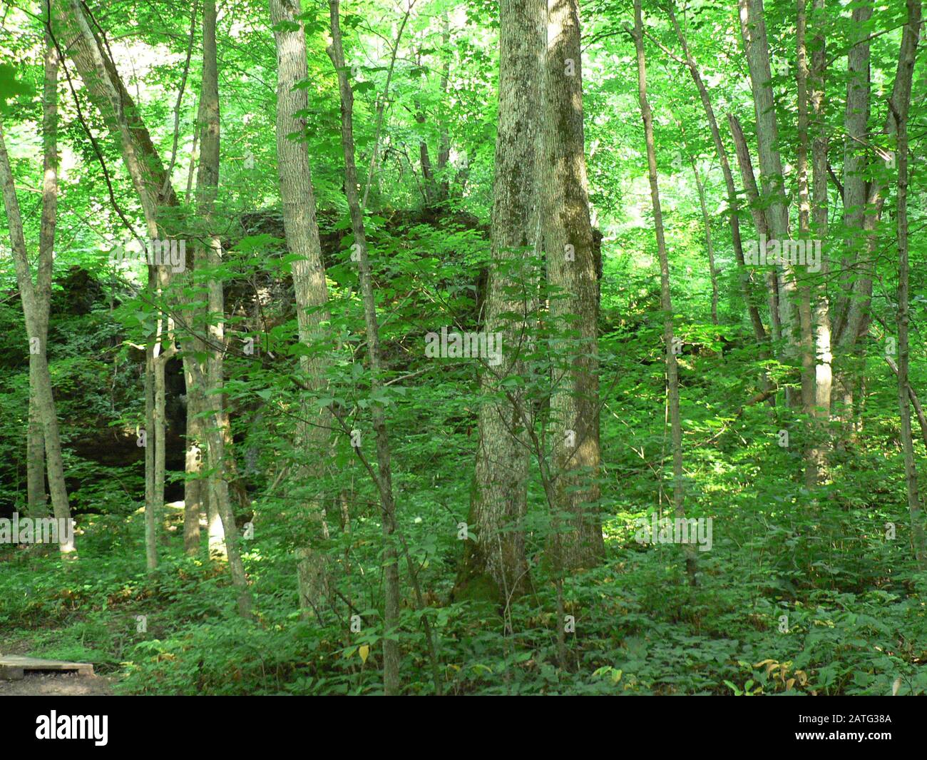 John Bryan State Park, Ohio Stock Photo - Alamy