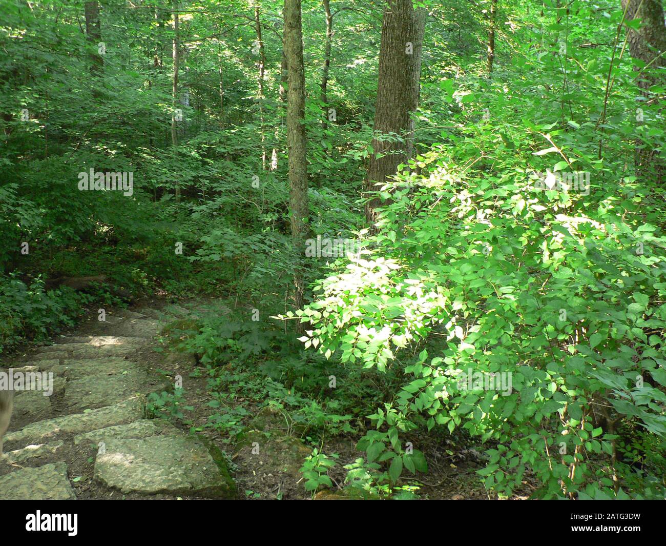 John Bryan State Park, Ohio Stock Photo - Alamy