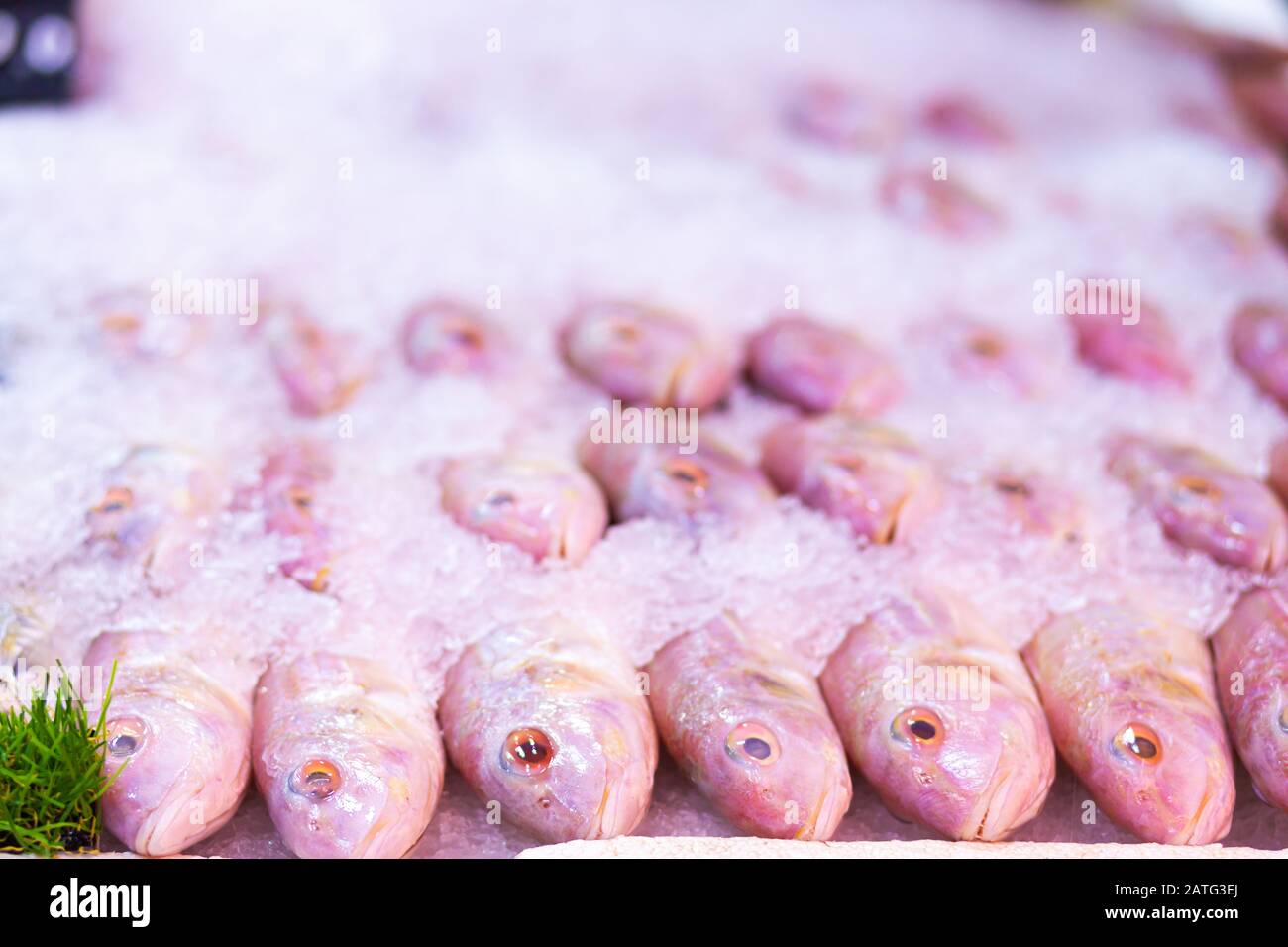 Fresh fish on ice in a seafood shop store Stock Photo - Alamy