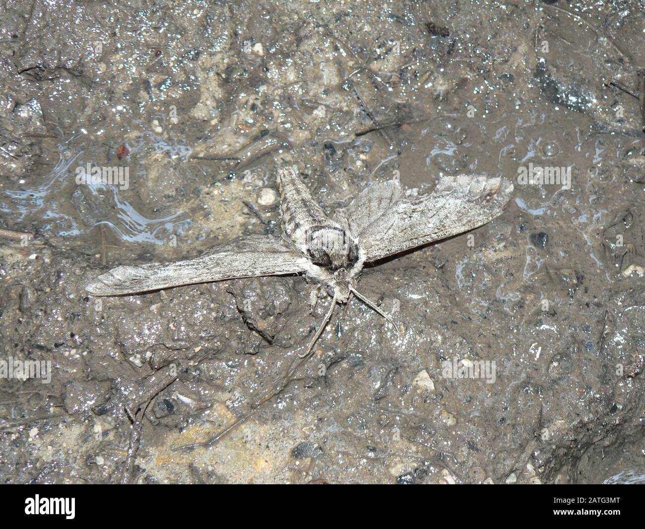 John Bryan State Park, Ohio Stock Photo - Alamy