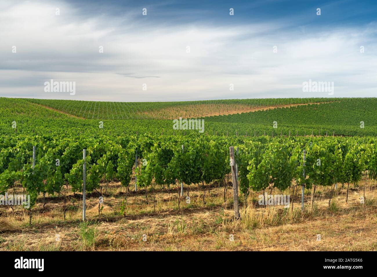Rural landscape near Venosa, Potenza, Basilicata, Southern Italy, at ...