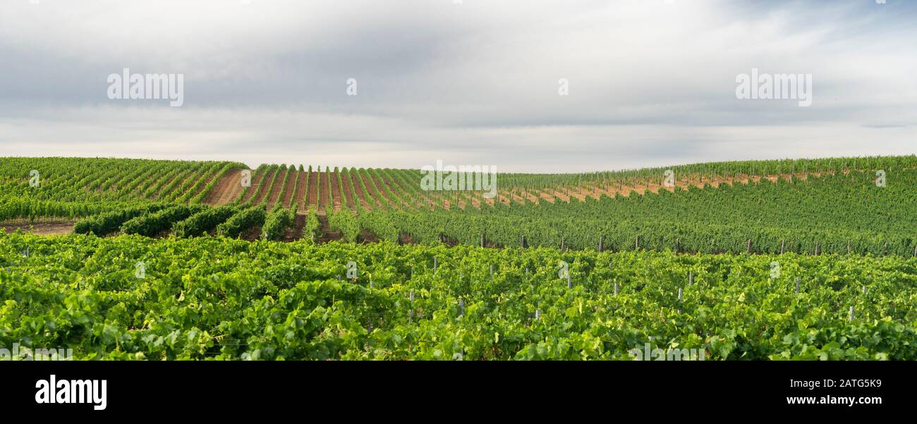 Rural landscape near Venosa, Potenza, Basilicata, Southern Italy, at ...