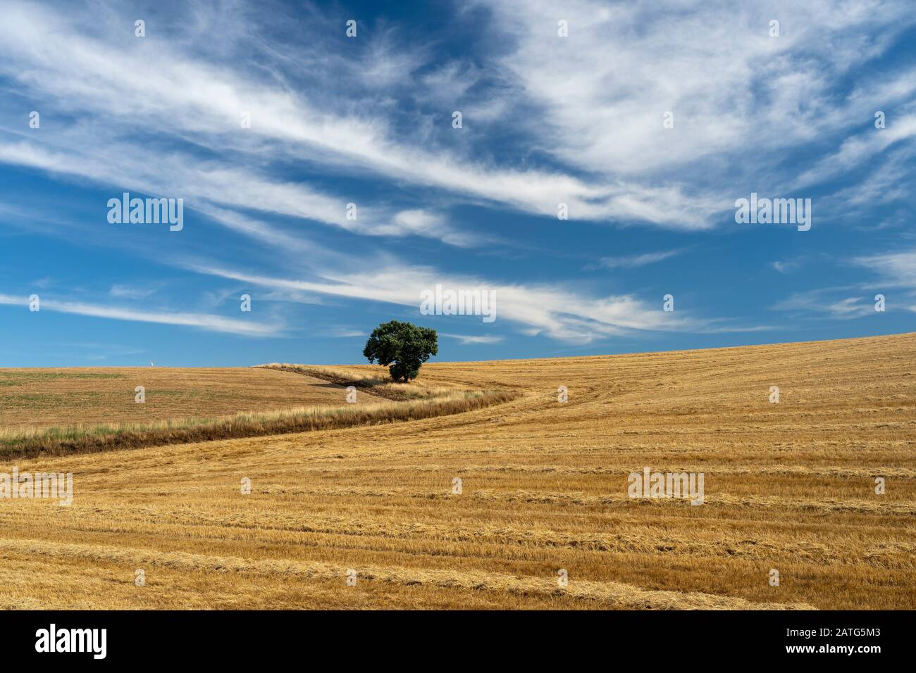 Rural landscape near Venosa, Potenza, Basilicata, Southern Italy, at ...