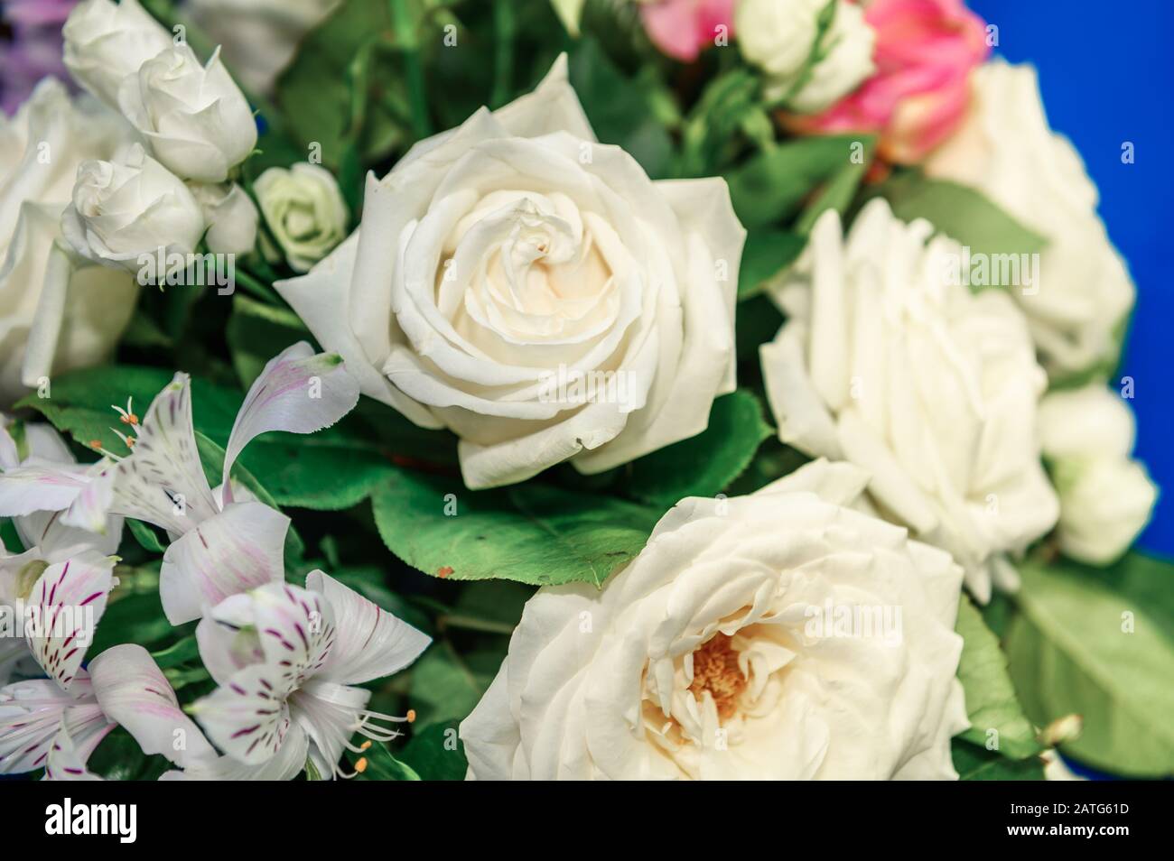 bouquet of flowers with white roses. roses in a bridal bouquet Stock ...