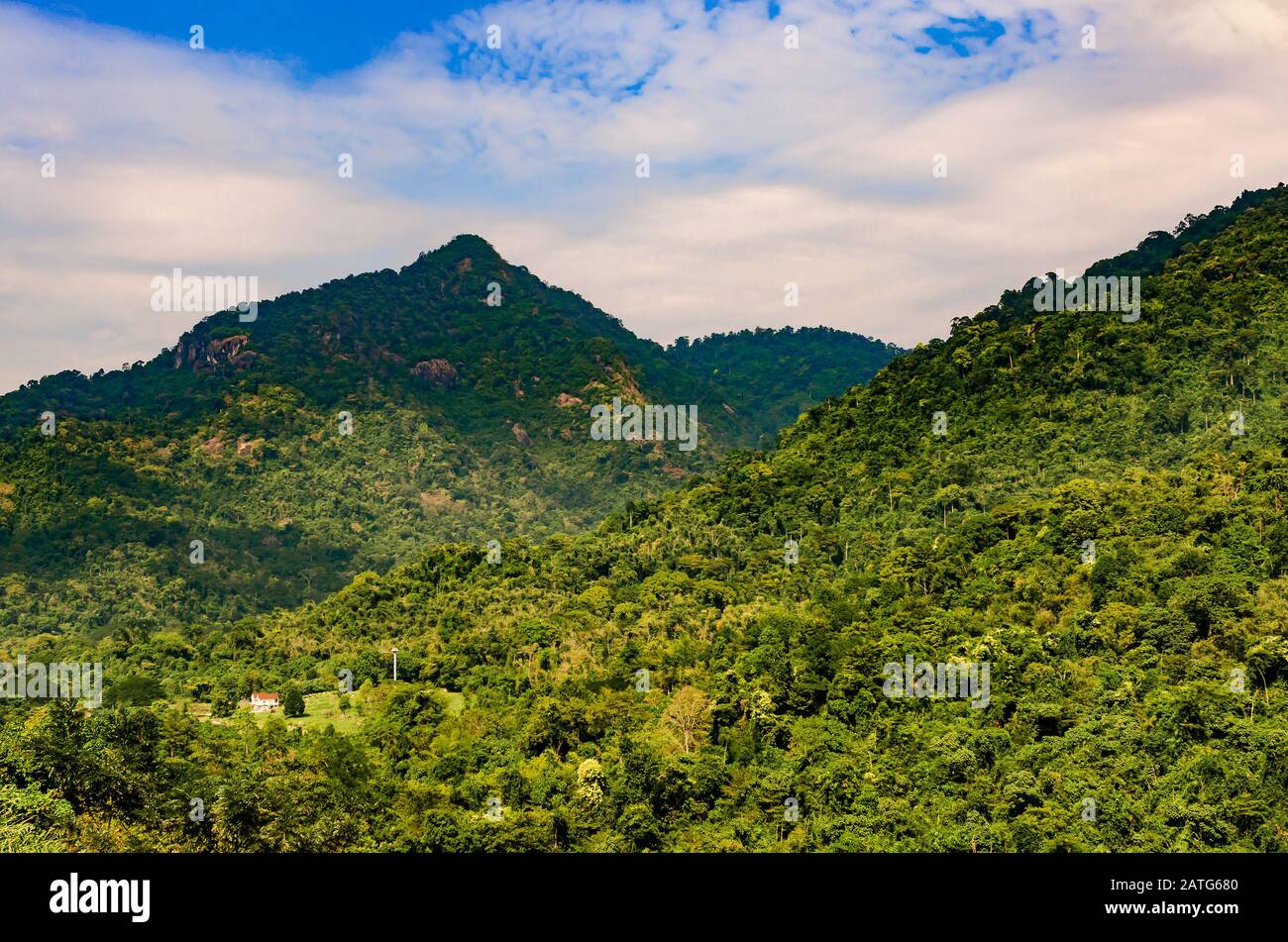 beautiful landscape nature of rain forest Stock Photo - Alamy