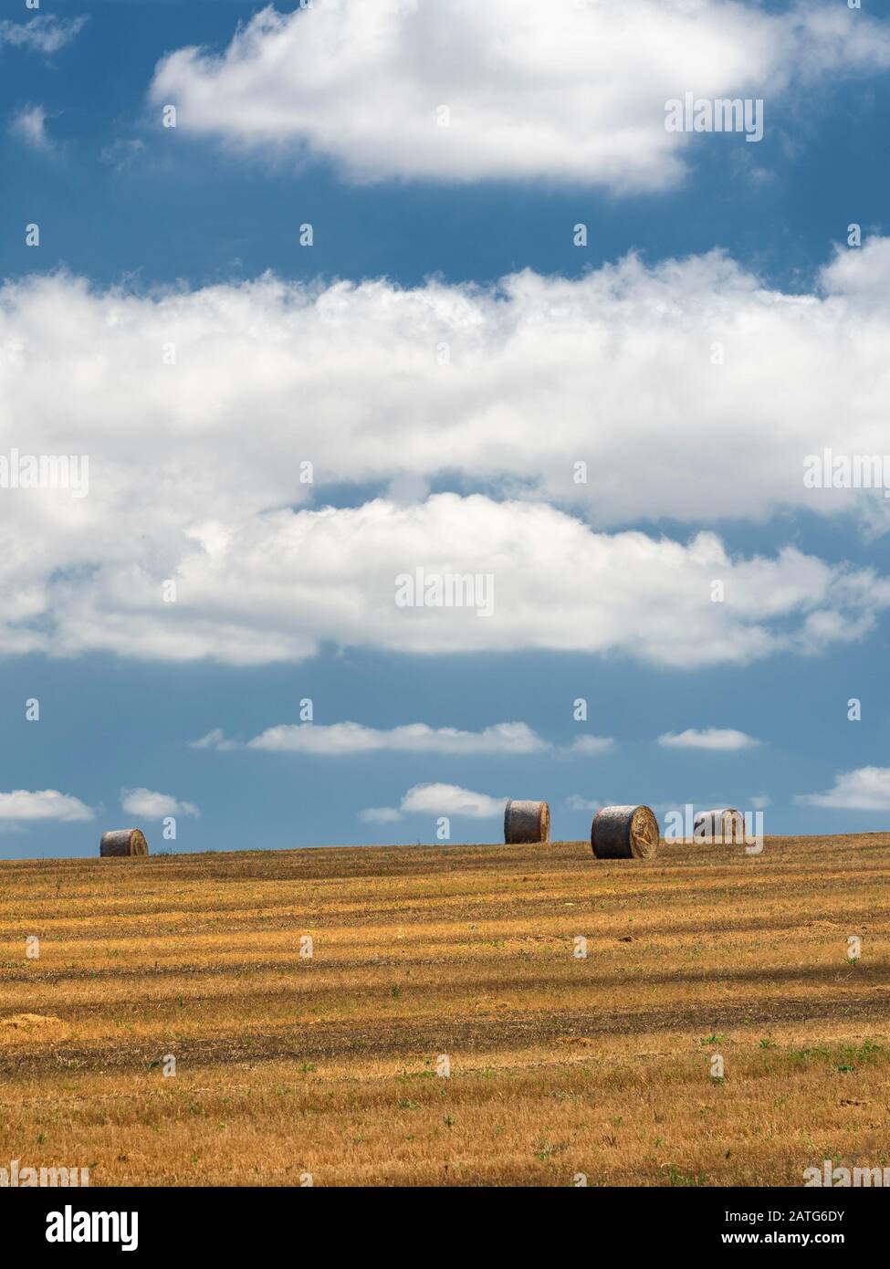 Rural landscape near Altamura and Gravina, Bari, Apulia, Southern Italy ...