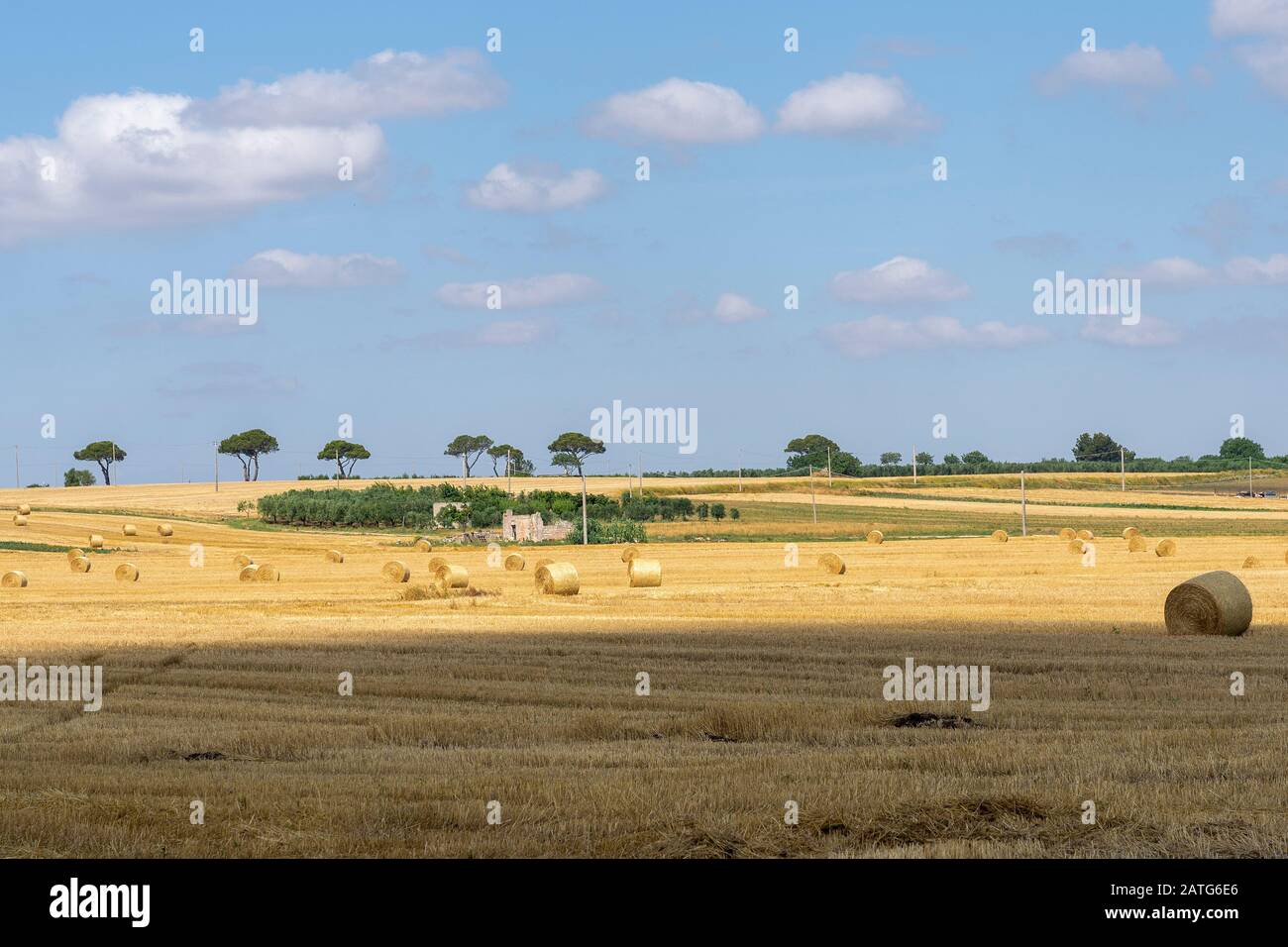 Rural landscape near Altamura and Santeramo in Colle, Bari, Apulia ...