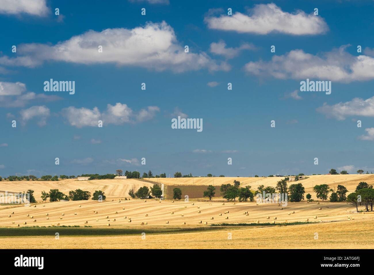 Rural landscape near Altamura and Santeramo in Colle, Bari, Apulia ...