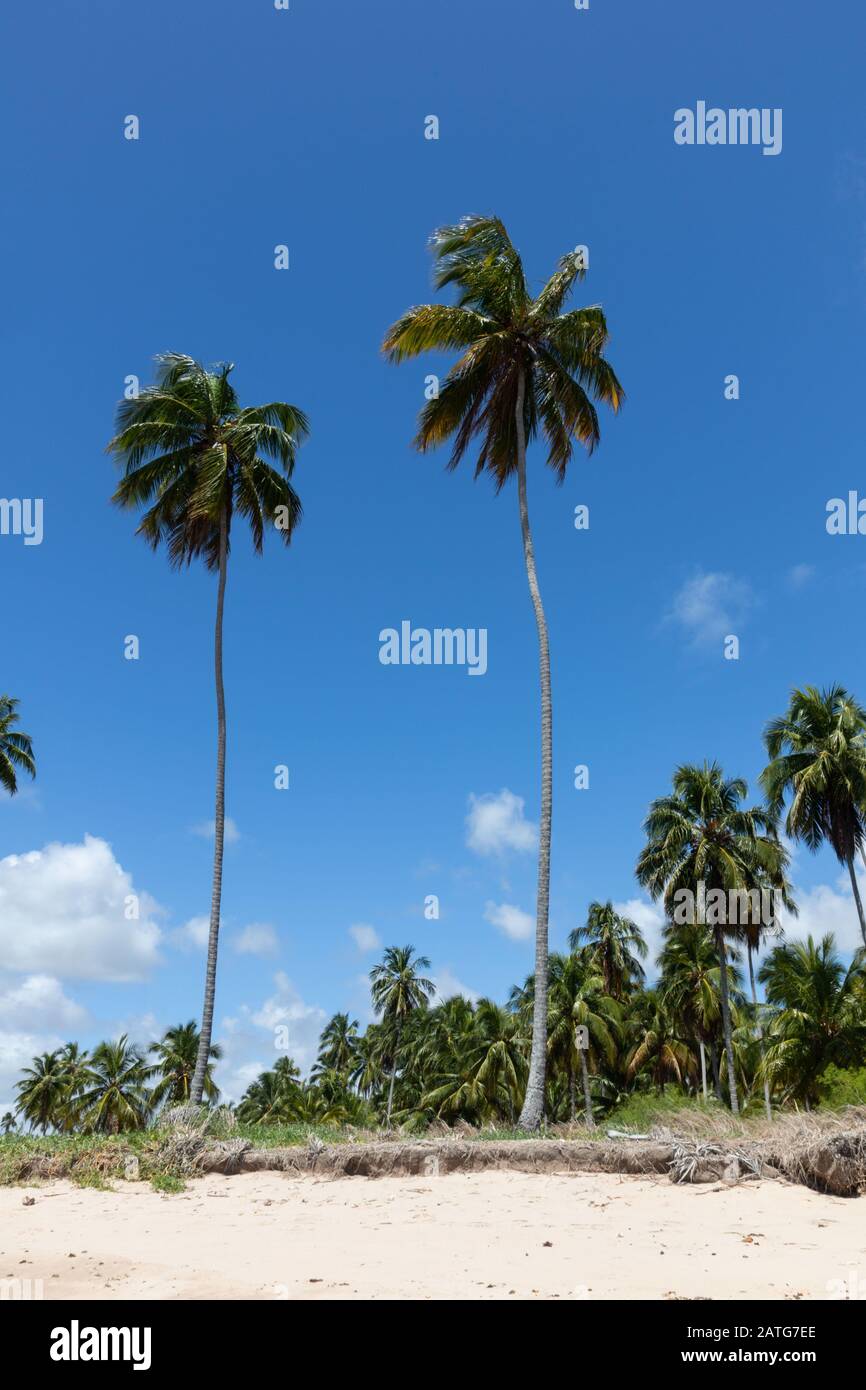 Praia do patacho hi-res stock photography and images - Alamy