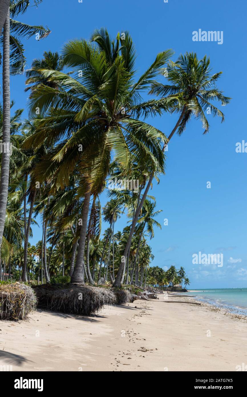 Praia do patacho hi-res stock photography and images - Alamy