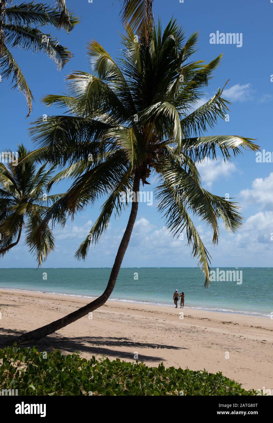 Praia do patacho hi-res stock photography and images - Alamy