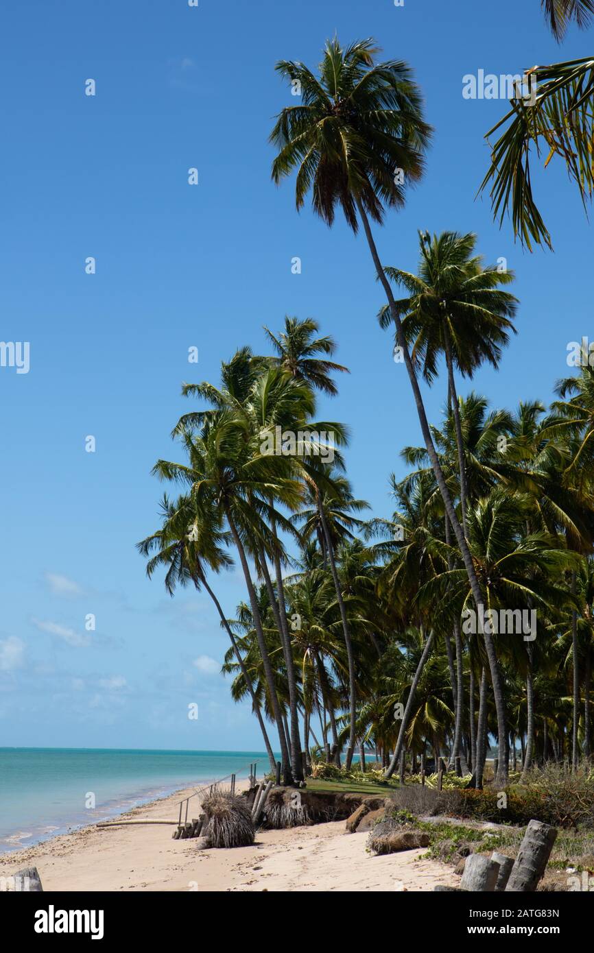 Praia do patacho hi-res stock photography and images - Alamy