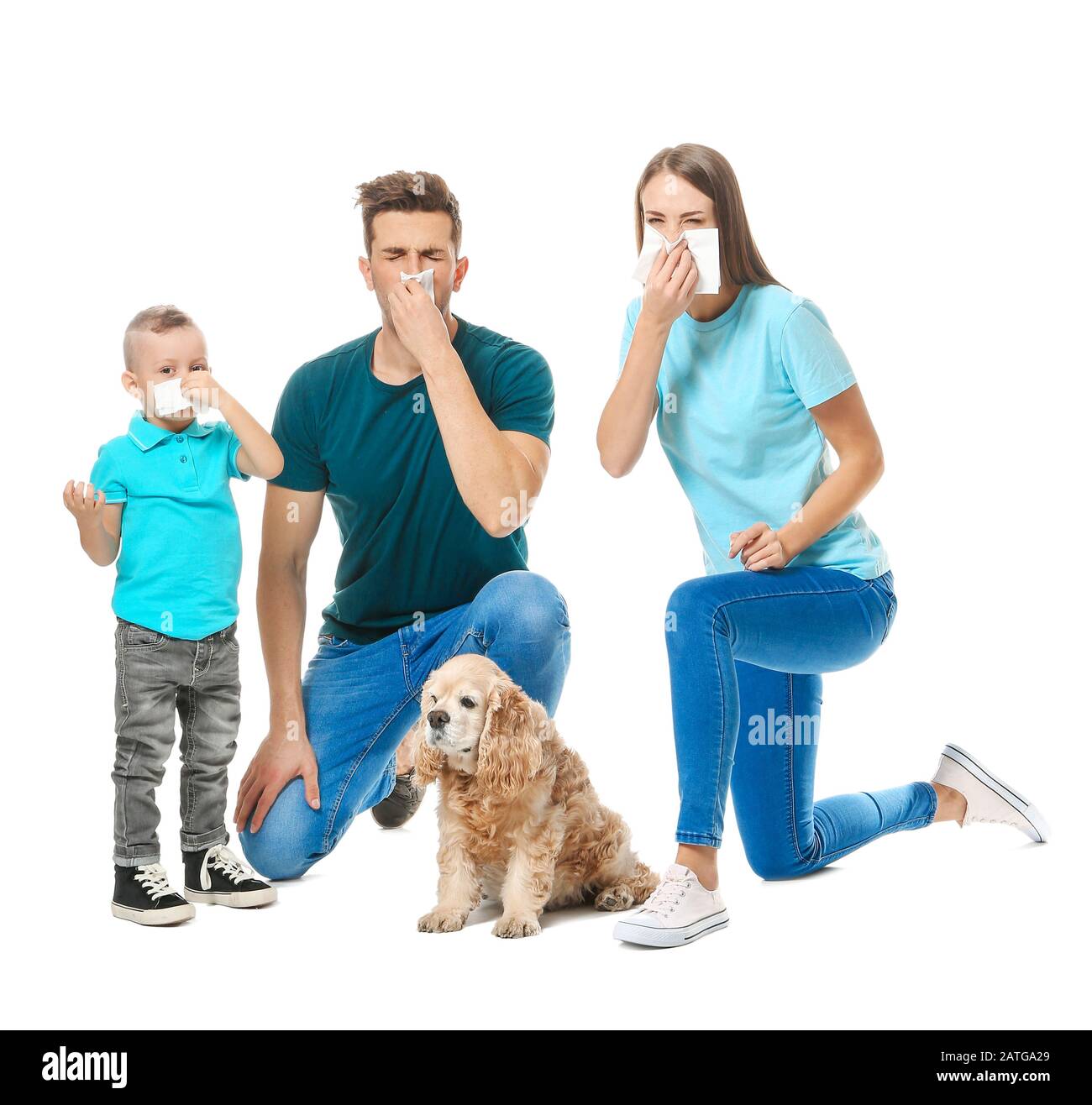 Family with pet allergy on white background Stock Photo - Alamy