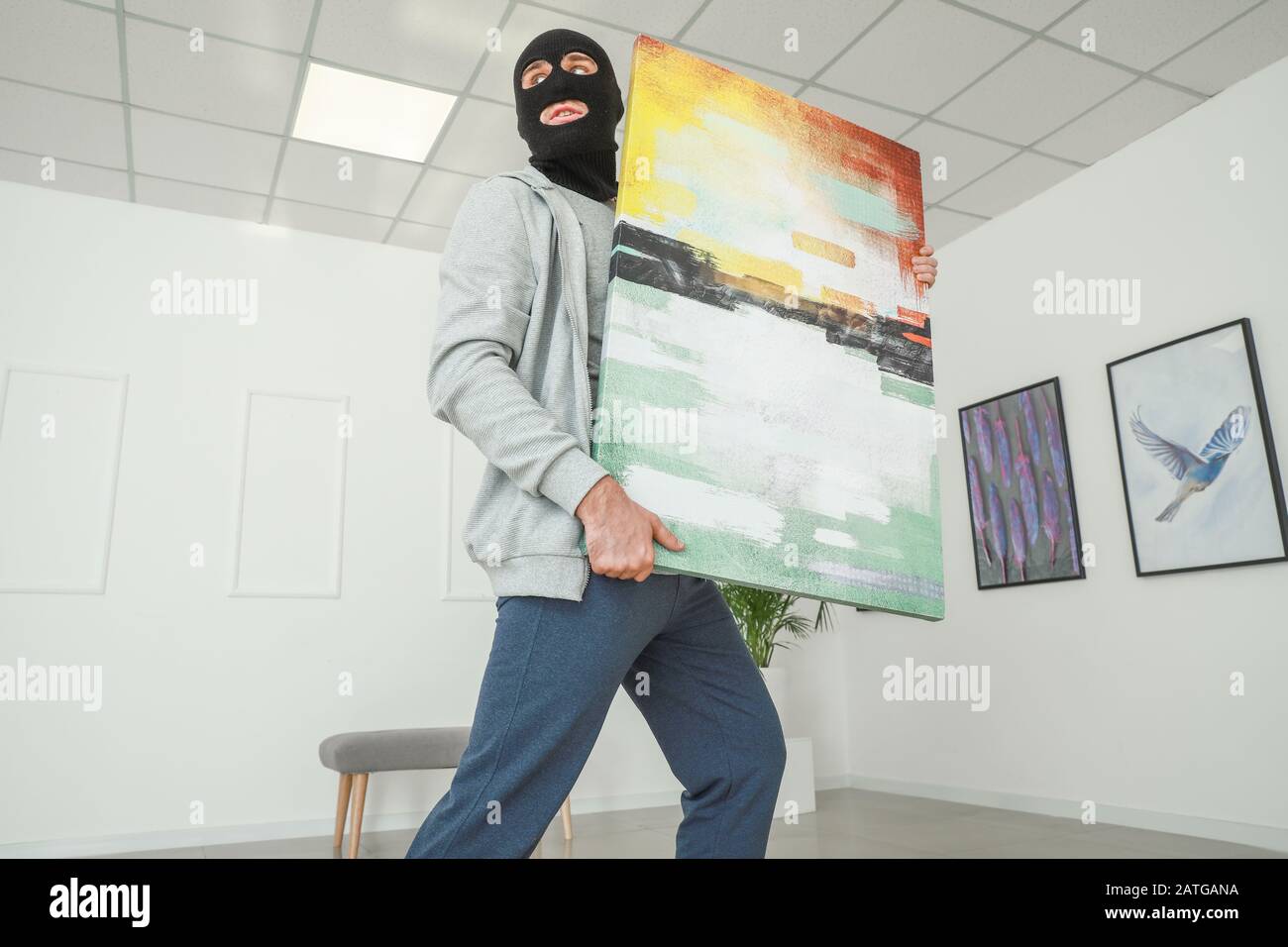 Thief stealing picture from art gallery Stock Photo - Alamy