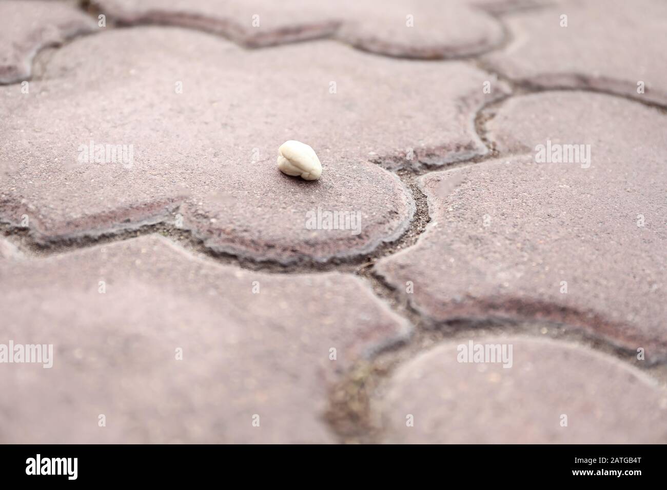Chewing gum on street pavement Stock Photo - Alamy