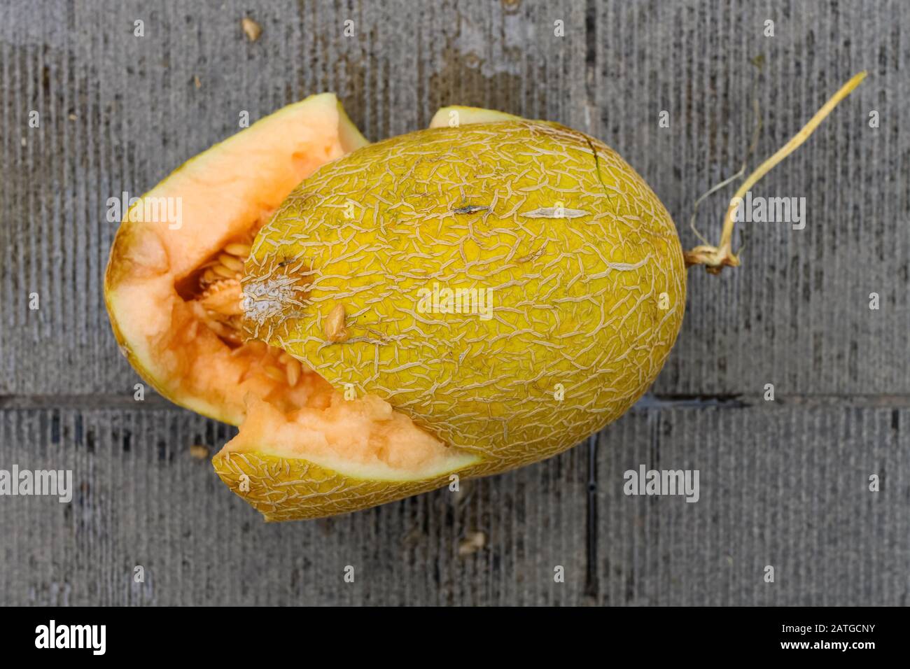 top view hami melon dropped to a concrete floor and broken Stock Photo ...