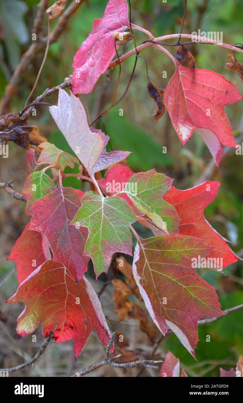 Turn color hi-res stock photography and images - Alamy