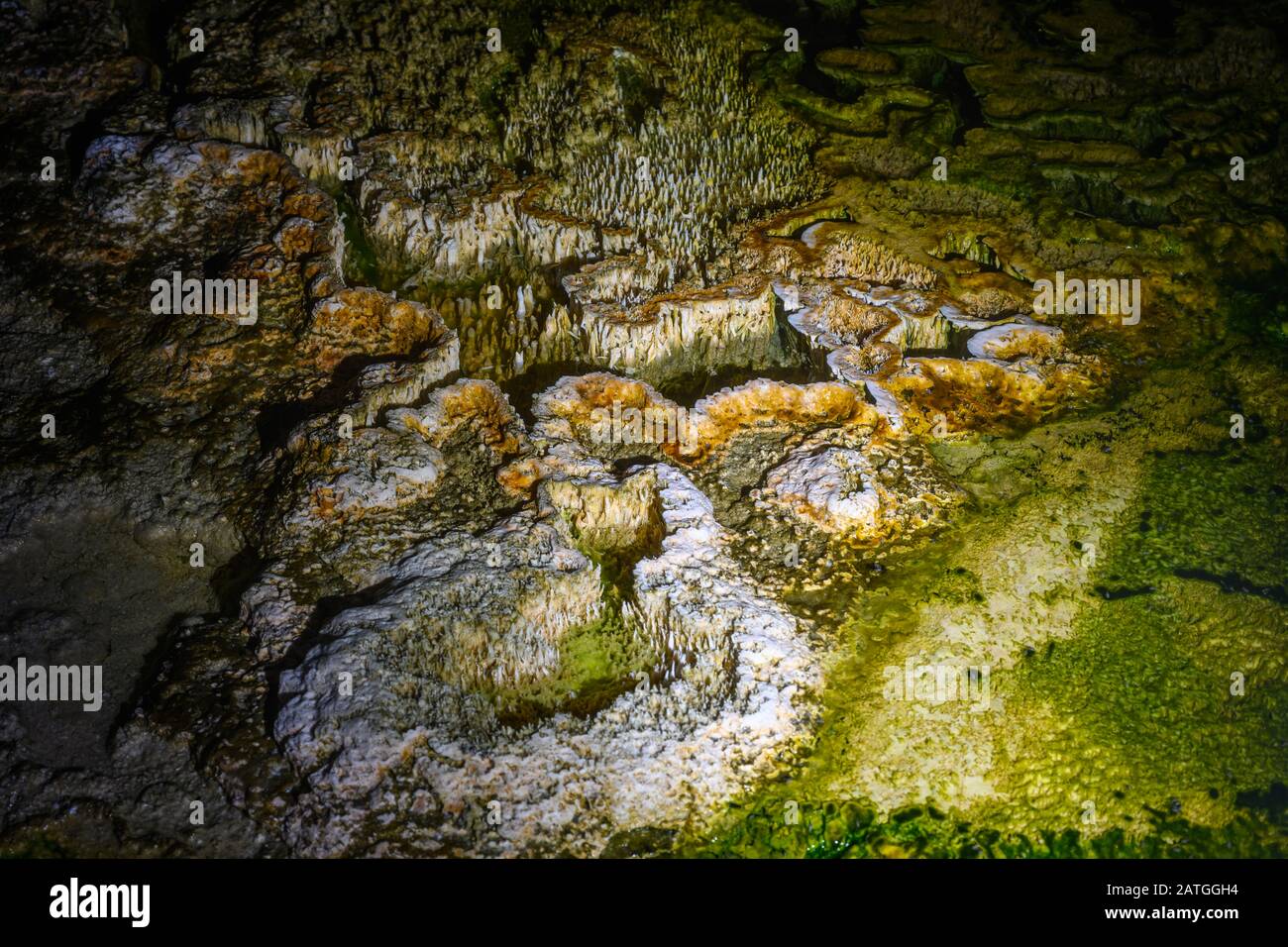 Colorful algae growing on travertine deposits around a hot spring ...