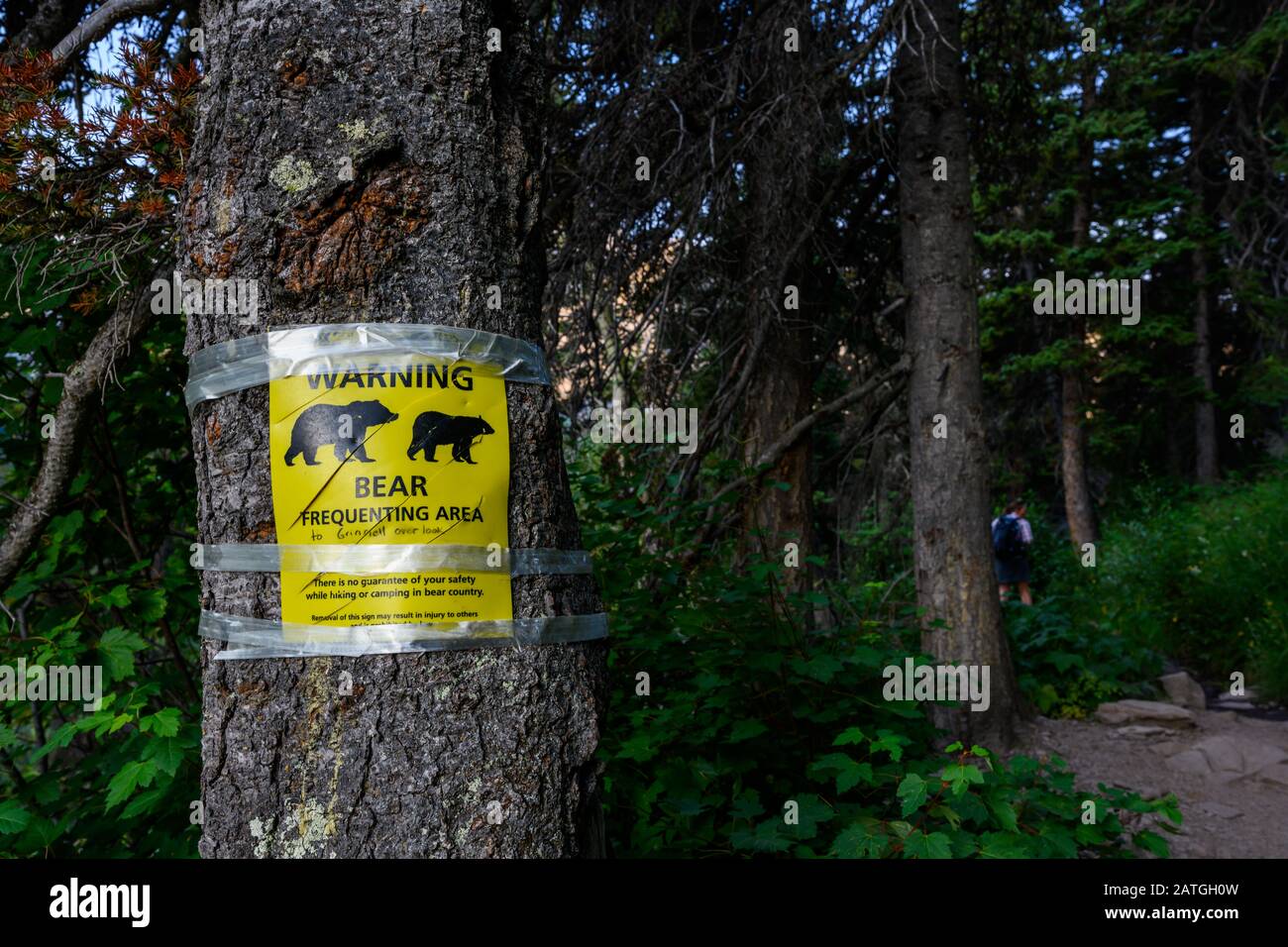 Bear Warning Sign Posted along trail in Montana wilderness Stock Photo ...