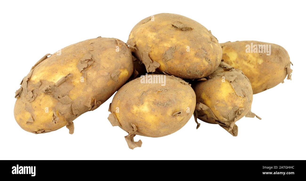 Group of dirty unwashed new potatoes isolated on a white background ...