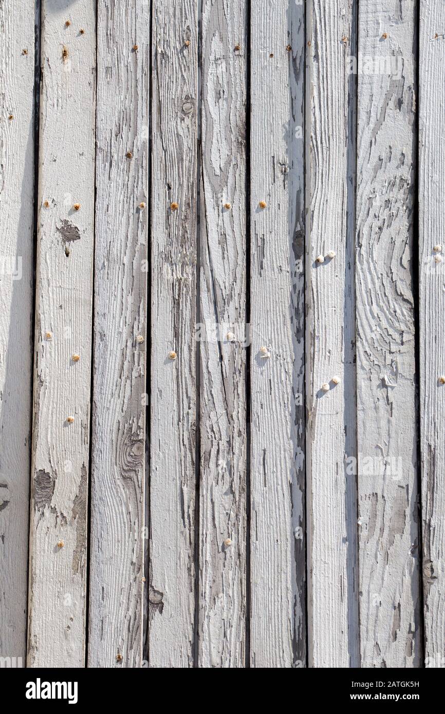 Texture details of an old wooden plunks as background Stock Photo - Alamy