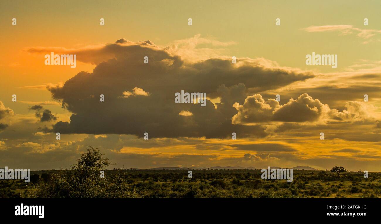 Storm cloud sunset over the African bush image with copy space in ...