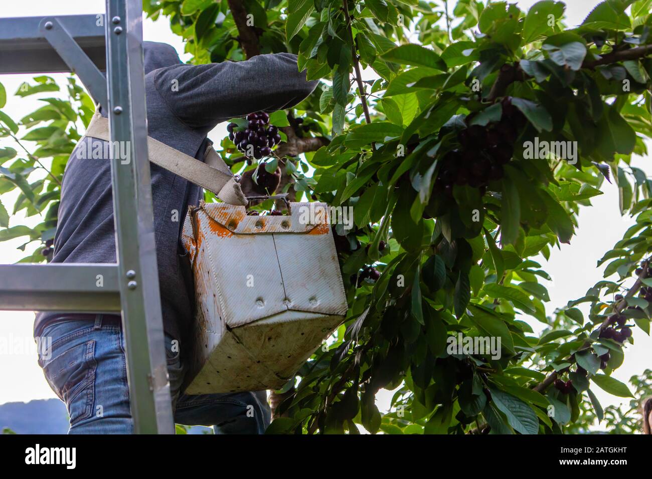 Man bucket in hand stands hi-res stock photography and images - Alamy