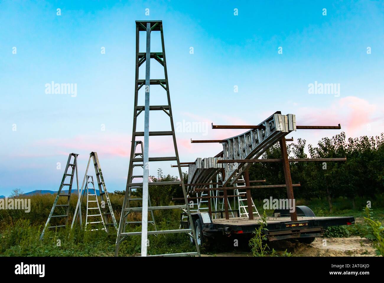 Step Ladder Picking Fruit High Resolution Stock Photography and Images ...