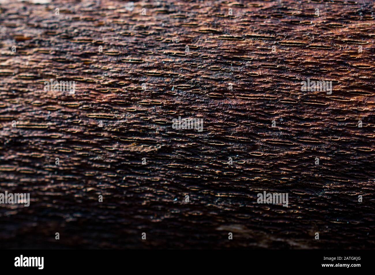 Wood texture with natural patterns as a background Stock Photo - Alamy