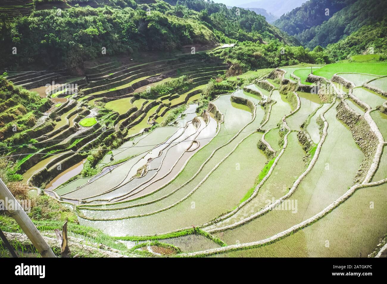 Beautiful rice terraces in Bontoc, Philippines Stock Photo - Alamy
