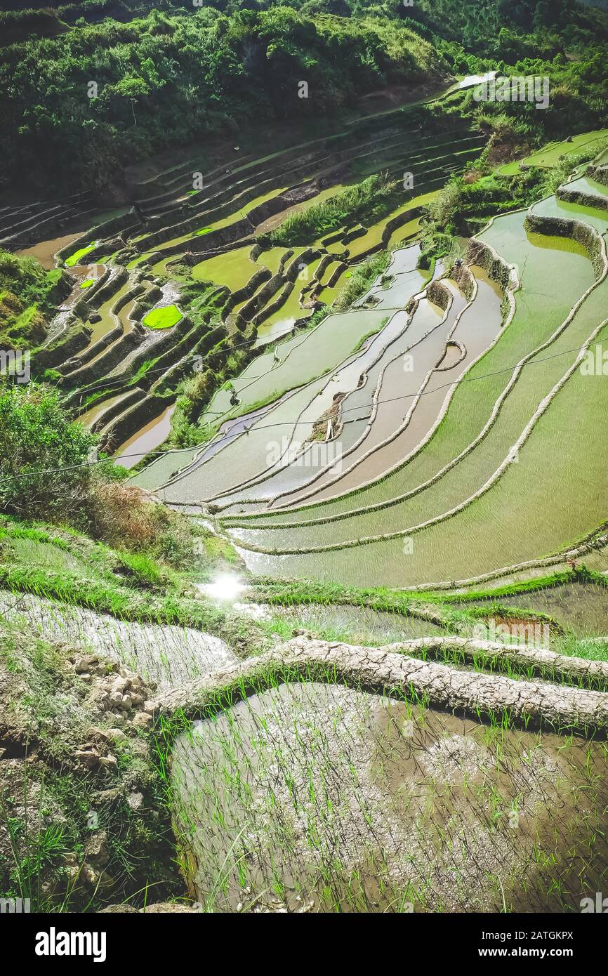 Beautiful rice terraces in Bontoc, Philippines Stock Photo - Alamy