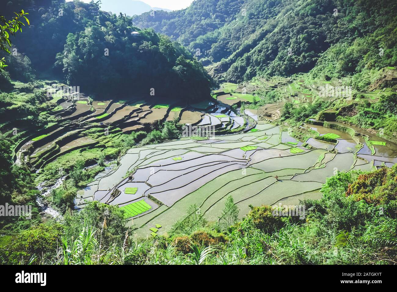 Beautiful rice terraces in Bontoc, Philippines Stock Photo - Alamy
