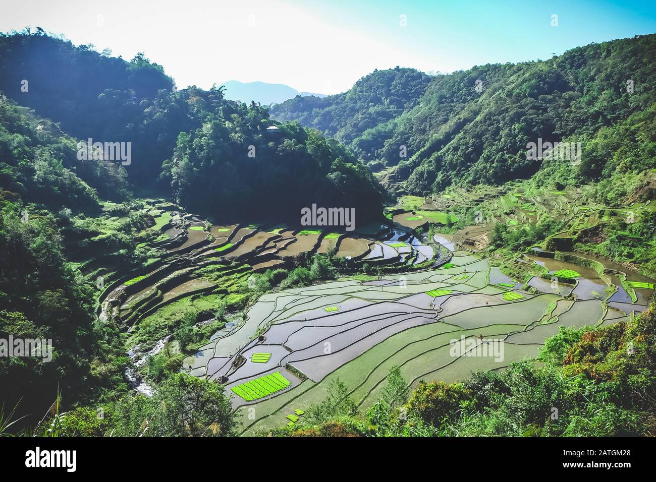 Beautiful rice terraces in Bontoc, Philippines Stock Photo - Alamy
