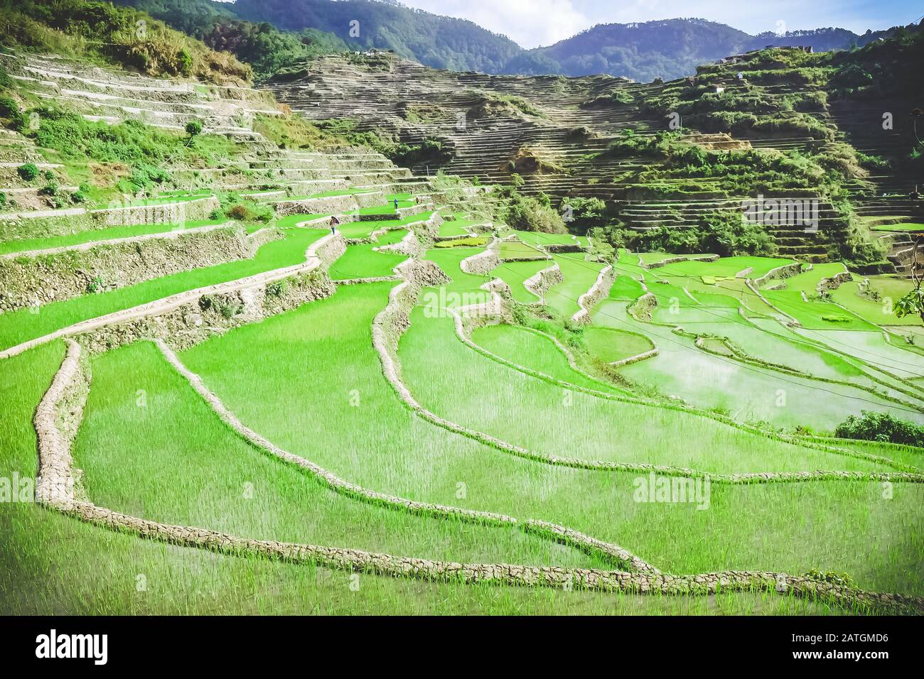 Beautiful rice terraces in Bontoc, Philippines Stock Photo - Alamy