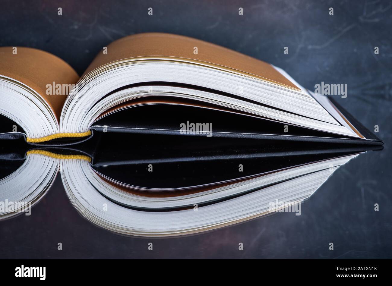 Reflection on literature hi-res stock photography and images - Alamy