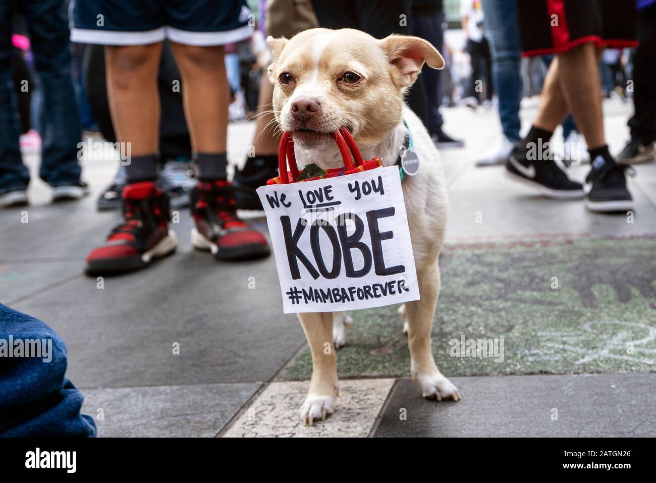 Mamba forever hi-res stock photography and images - Alamy