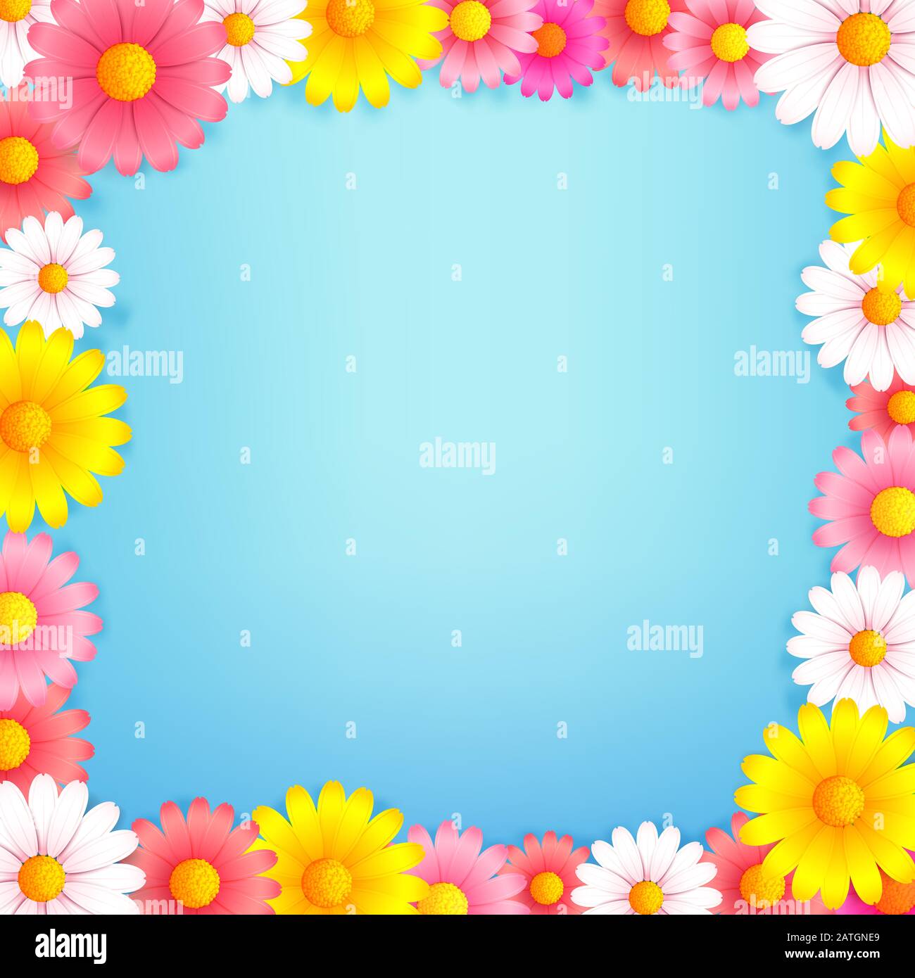 Colorful flower on blue background for spring,Template for banners ...
