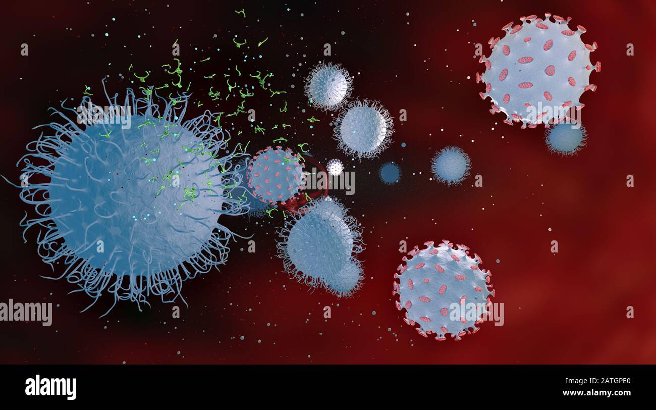 Fighting the immune system against flu and cold viruses - 3D ...