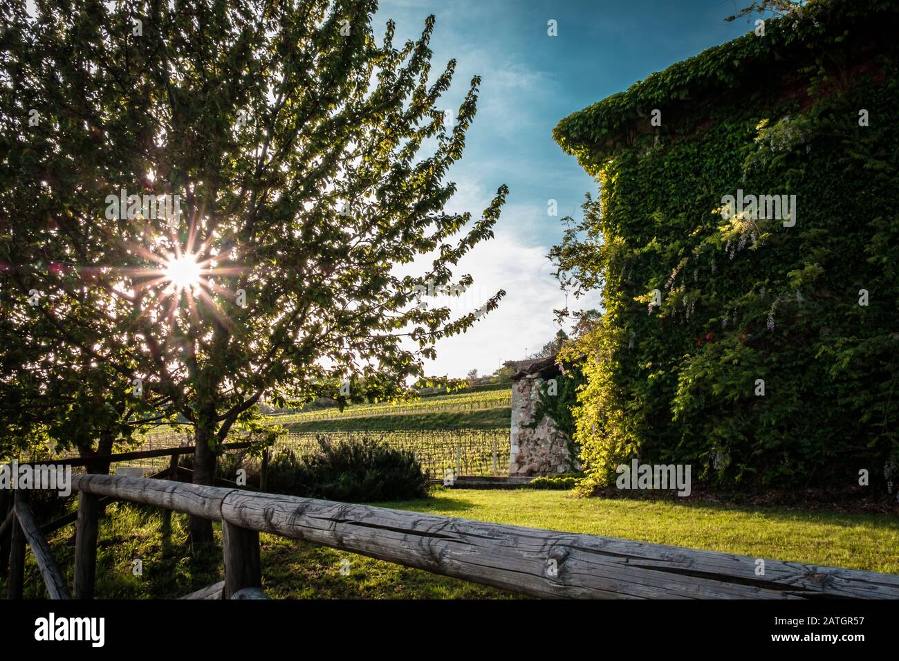 An abandoned farm in the fields of Friuli Venezia-Giulia Stock Photo ...
