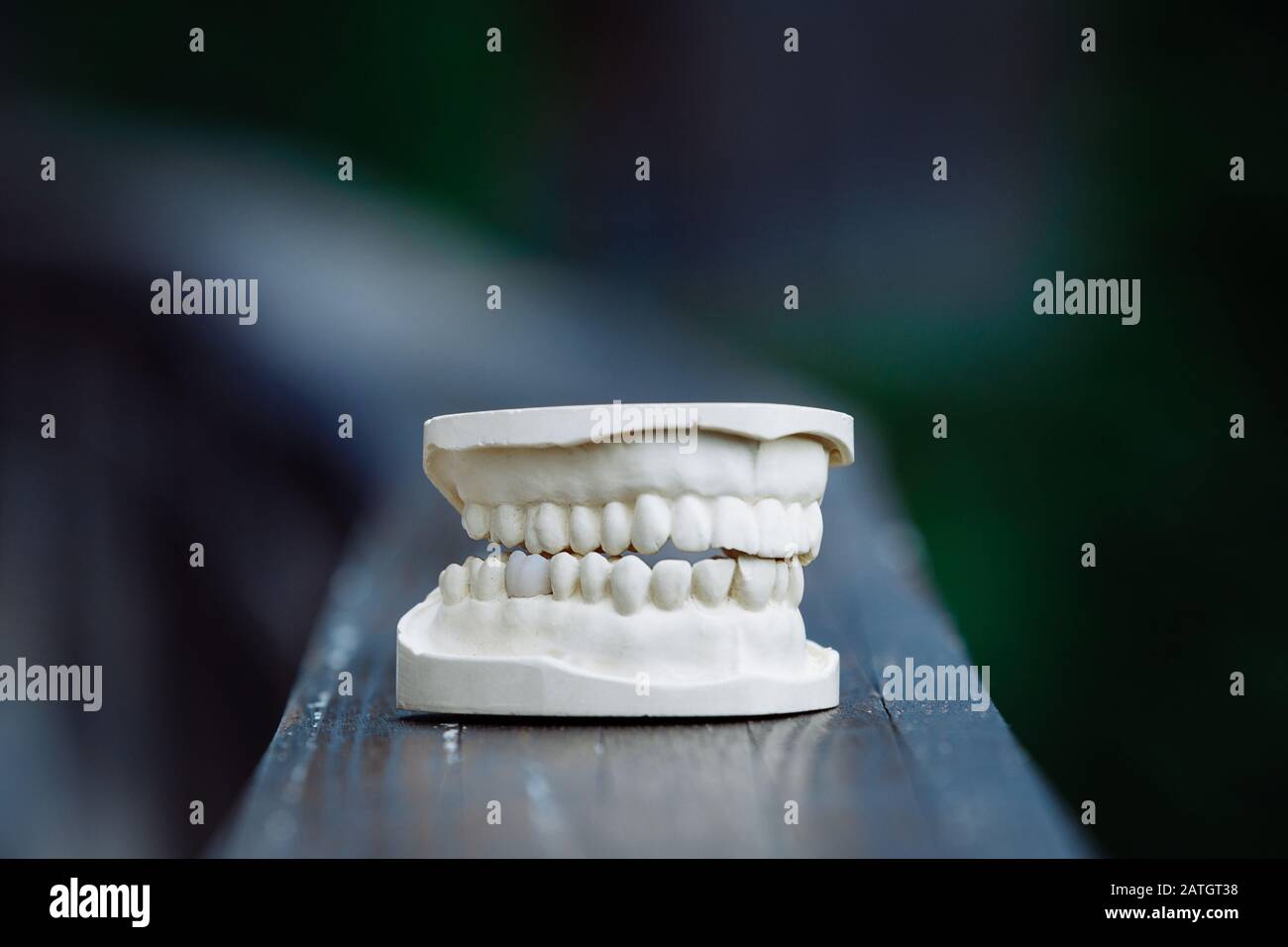 Jaw model hi-res stock photography and images - Alamy