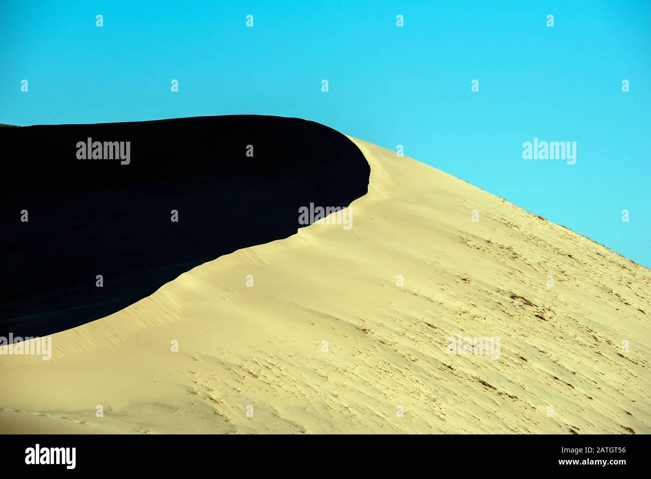 Curved ridgeline of huge sand dune is sharply defined by natural sun ...