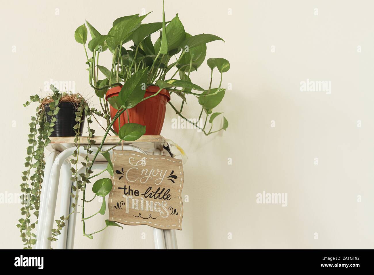 Minimalist home decoration for the Spring season using houseplants to ...