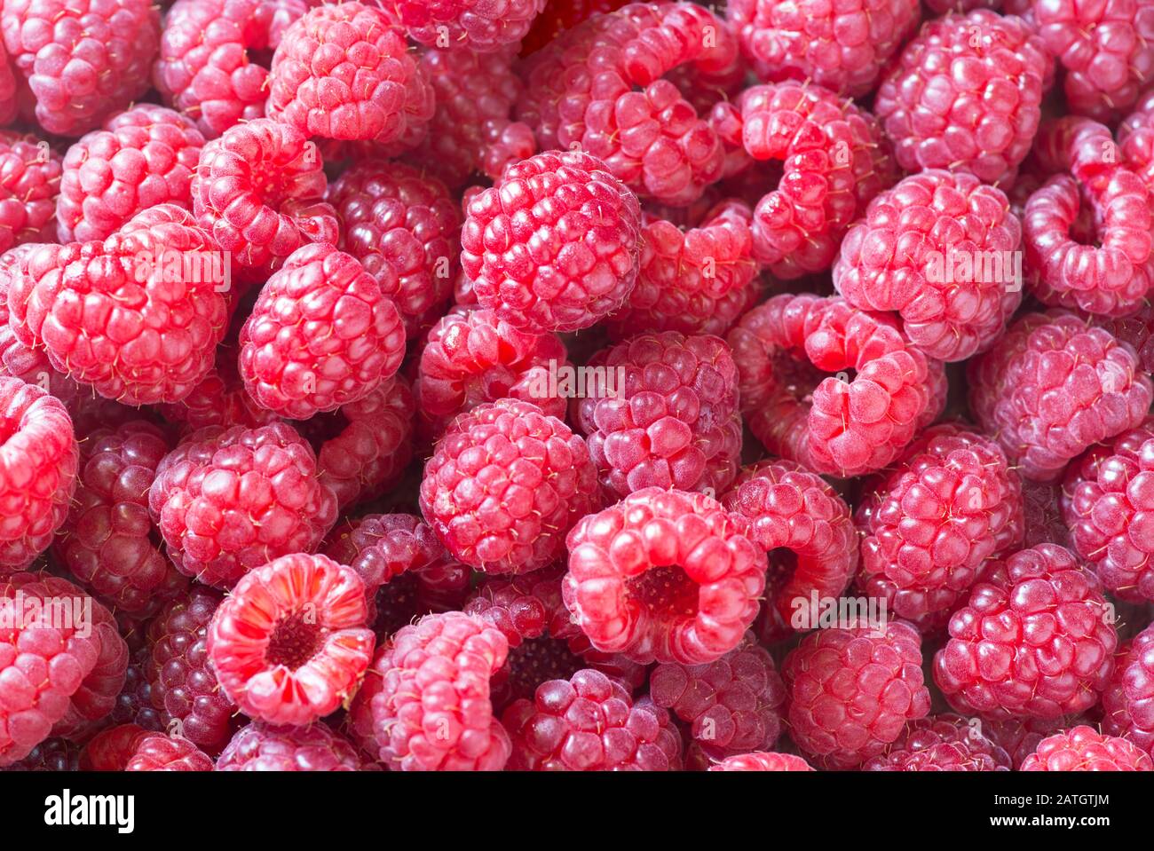 Raspberries close up as a food background Stock Photo - Alamy