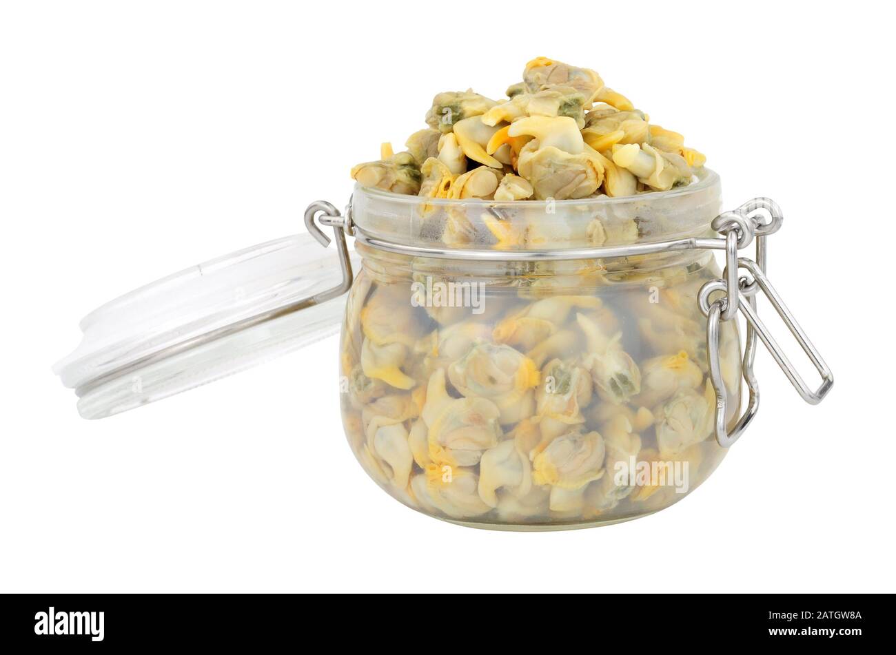 Glass storage jar filled with pickled cooked shelled cockle shellfish ...