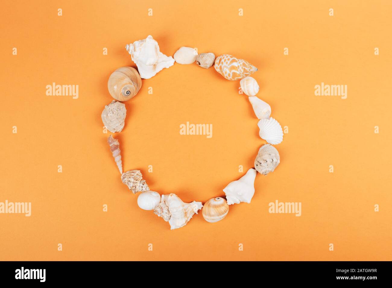 Seashell collection lying around circle shape Stock Photo - Alamy