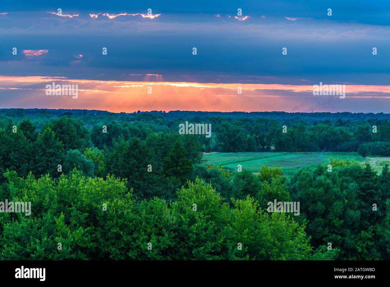 Beautiful sunset over sunflower field hi-res stock photography and ...