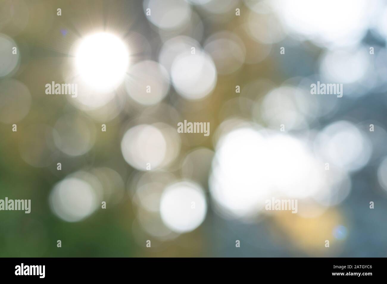 Abstract nature background. Bright blurry natural greenery bokeh. Defocused grass and water ...