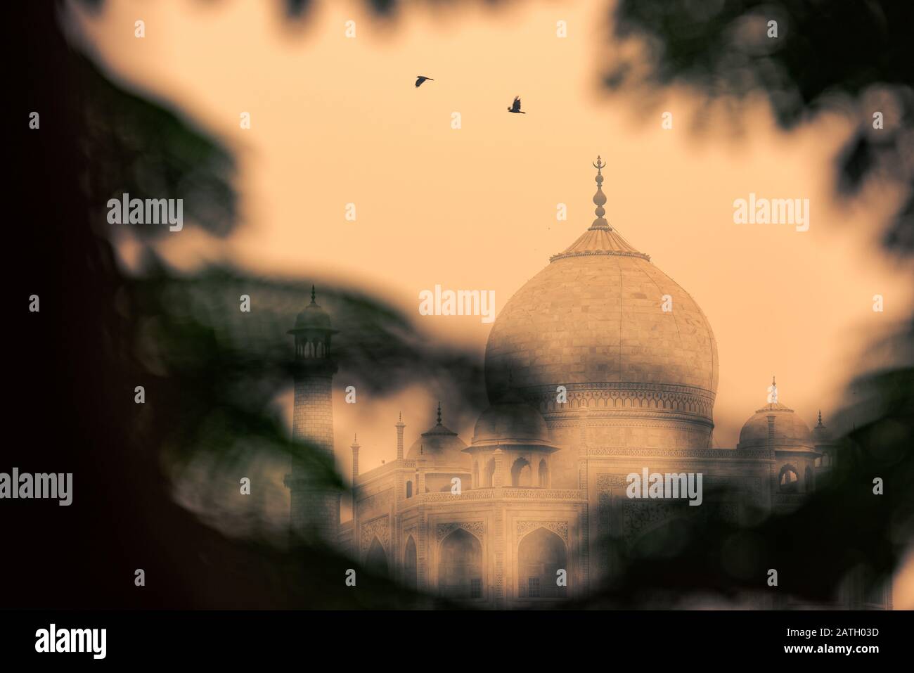 India smog hi-res stock photography and images - Alamy