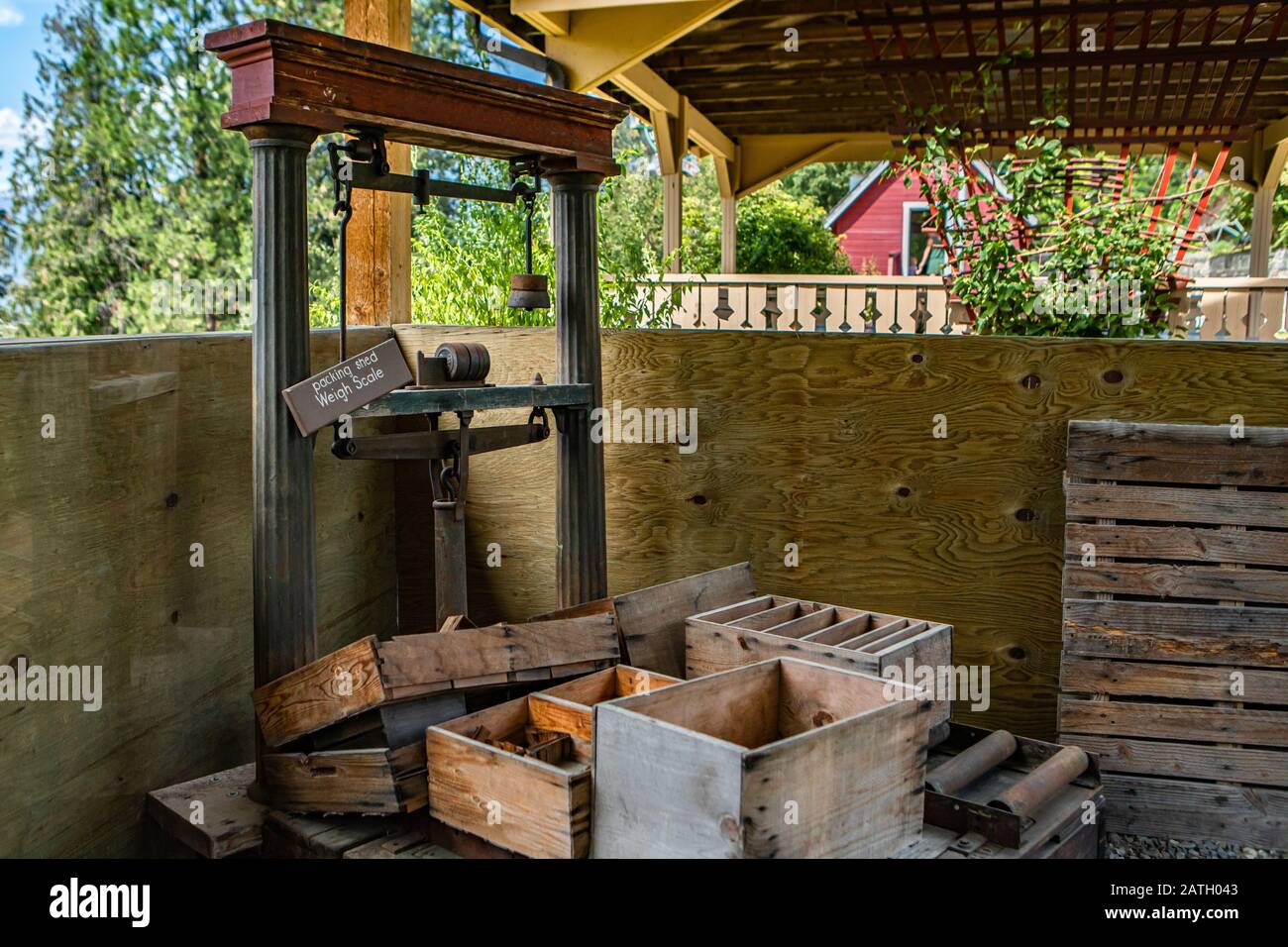An old packing shed weigh scale and group of wooden boxes in the ...