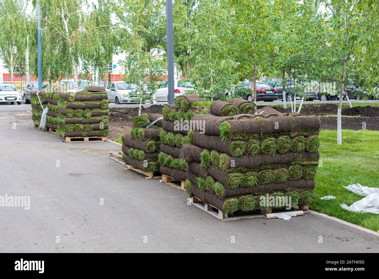 stacks of sod rolls on pallets against of street. rolled grass lawn is ...